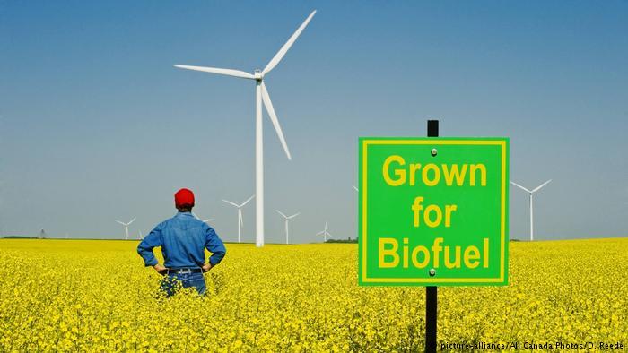 Biofuels: Good or bad for the environment?