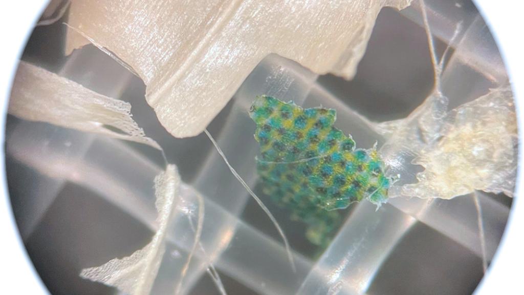 Microplastics: How Many And How To Regulate?